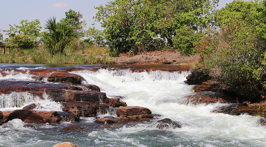PIB Verde será calculado pelo IBGE | Agência de Notícias