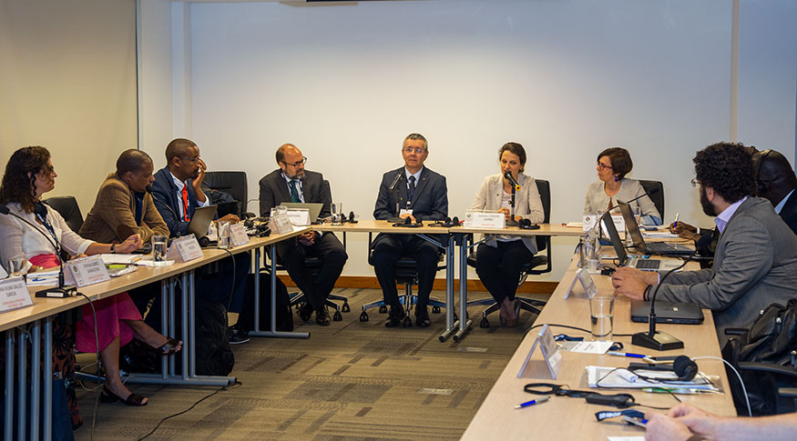 Meeting establishes strategies to improve electronic data collection in ...