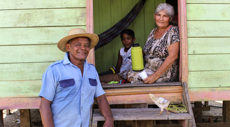 Rural Amazon: peculiarities of rural areas in forests | News Agency